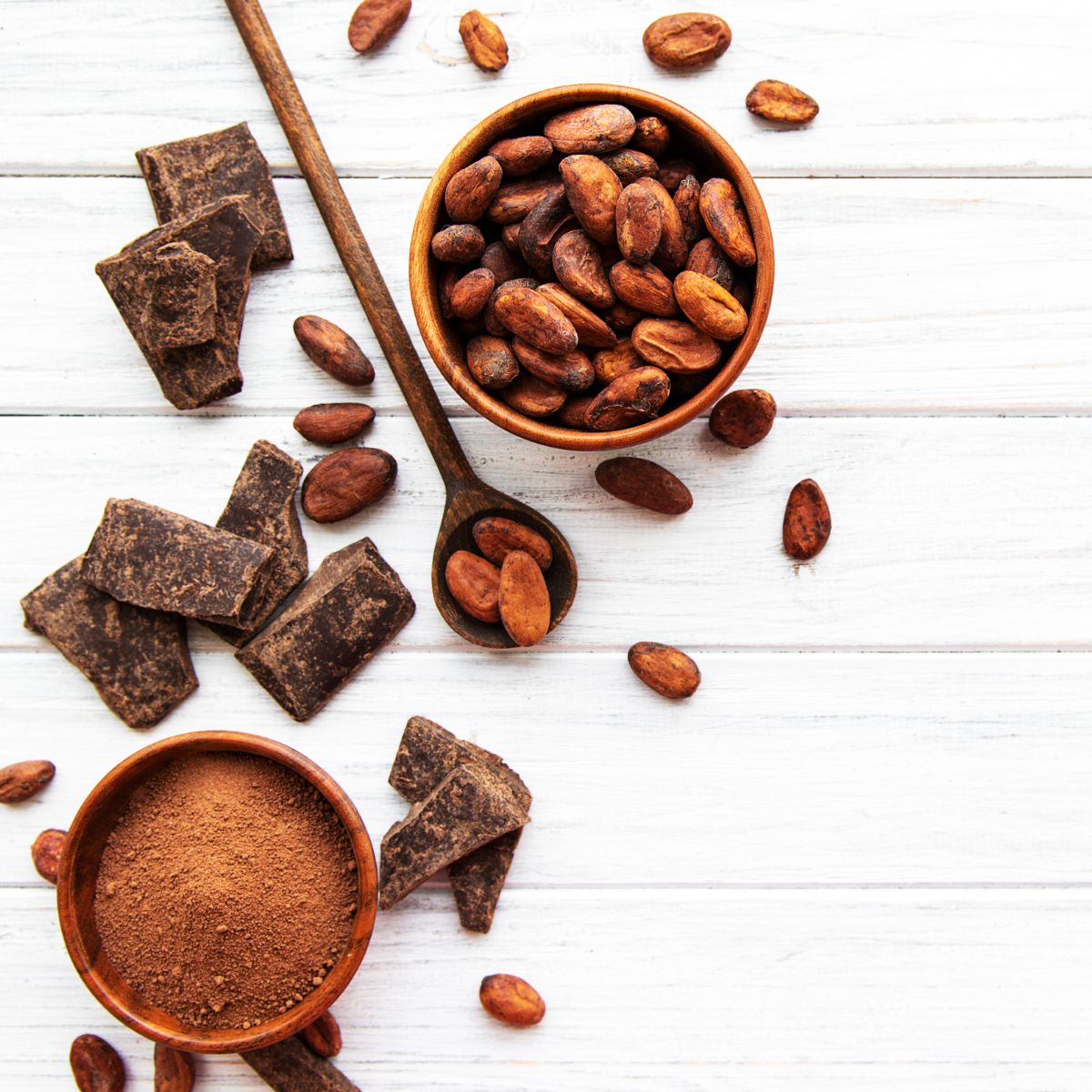 How to Use (and Eat) Raw Cacao Powder + 15 Easy Recipes - Fit as a Mama ...