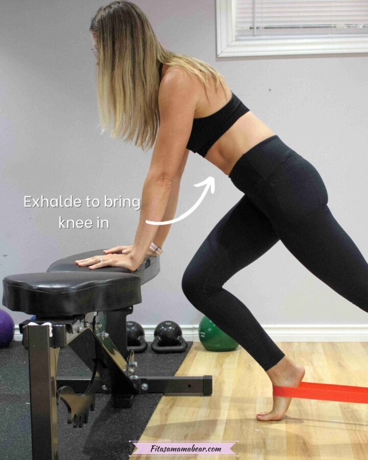 4 Corrective Exercises For Diastasis Recti At Home - Fit as a Mama Bear