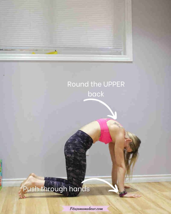 10 Thoracic Spine Exercises For Mobility and Strength - Fit as a Mama Bear