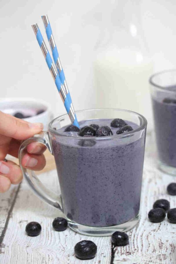 Blueberry Protein Shake (Dairy Free) - Fit as a Mama Bear