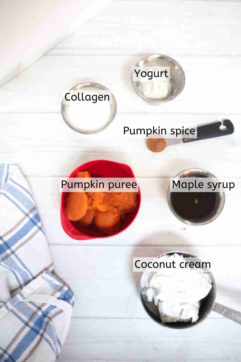 High Protein Pumpkin Pudding [Dairy-Free] - Fit as a Mama Bear