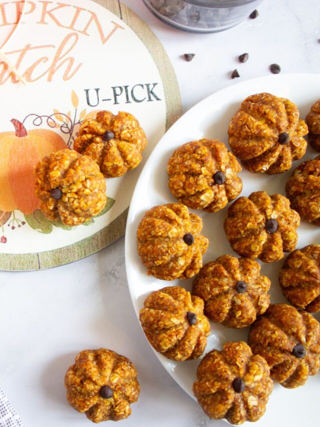 High Protein Pumpkin Pudding [Dairy-Free]