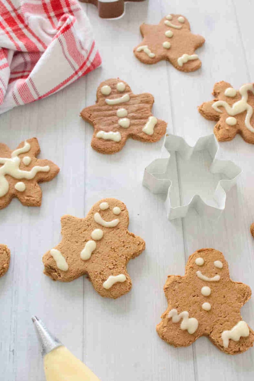 Protein Gingerbread Cookies [Dairy and Gluten Free] - Fit as a Mama Bear