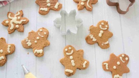 Gingerbread Protein Cookies [Dairy and Gluten Free]
